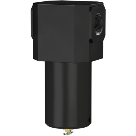 Riegler Filter für hohe Drücke bis 40 bar, mit Handablassventil, G 1 1/2