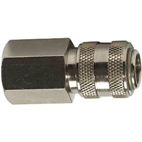 Riegler Schnellverschlusskupplung NW 5 »connect line«, MS vern., G 1/4 IG