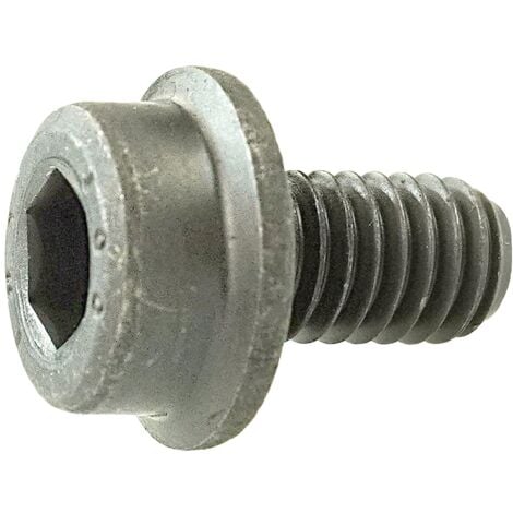 Reidl Zylinderschraube mit Innensechskant und Flansch 12x30mm verzinkt