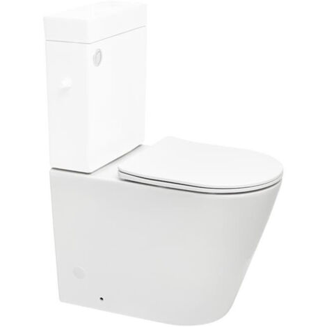 Swiss Aqua Technologies Brevis cuvette WC à poser sans bride en ...