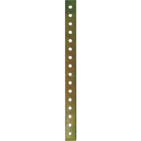 Friulsider plaque percée lourde 20x100mm - st100yz