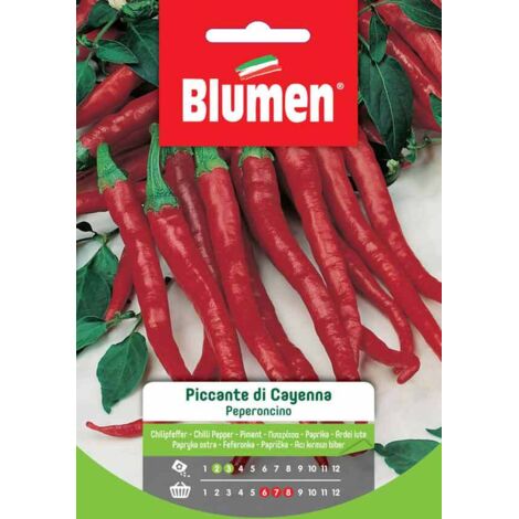Blumen Peperoncino piccante di Cayenna bio