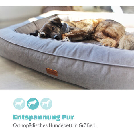 Brunolie Bruno Hundekorb, waschbar, hygienisch und rutschfest ...