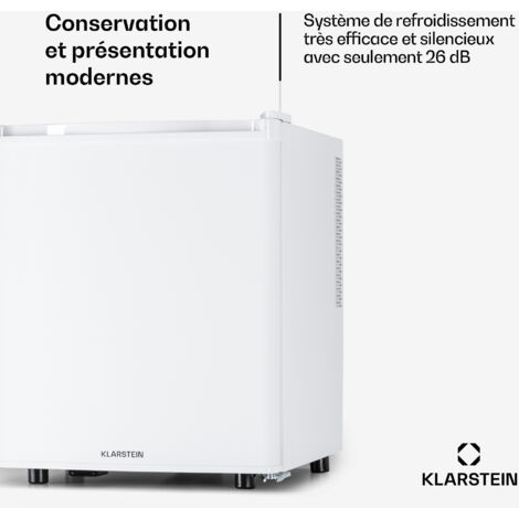 Klarstein Mini Frigo de Chambre de 45L pour Boissons et Bieres, Petit ...