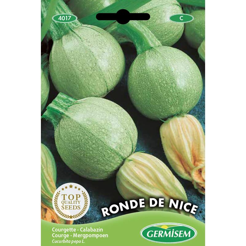 Courgette Ronde de Nice Semi di Zucchine 3 g