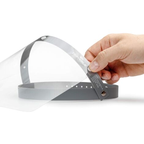 Durable 343219 Pannelli di Ricambio per Visiera, Trasparente