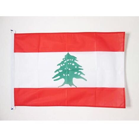 BANDIERA LIBANO 90x60cm per esterno - BANDIERA LIBANESE 60 x 90 cm - AZ ...
