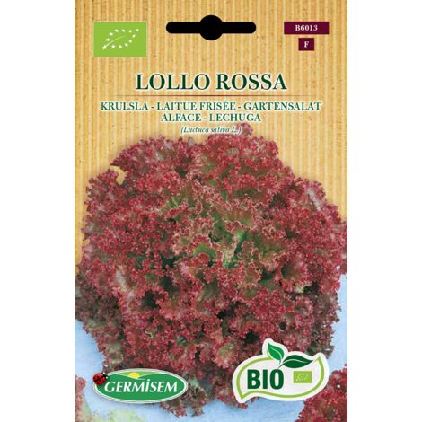 Germisem Biologico Lollo Rossa Semi di Insalata da Giardino 2 g
