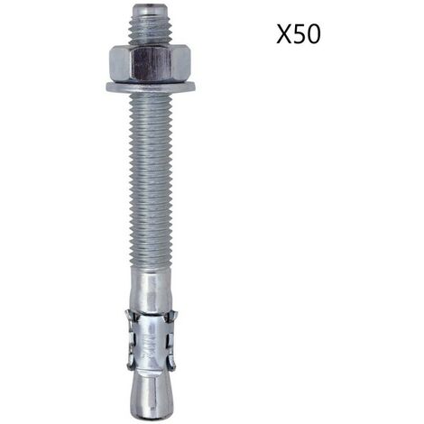 Boite de 50 Goujons Ancrage RAM 10x120mm Pour Fixation Lourde - 61575