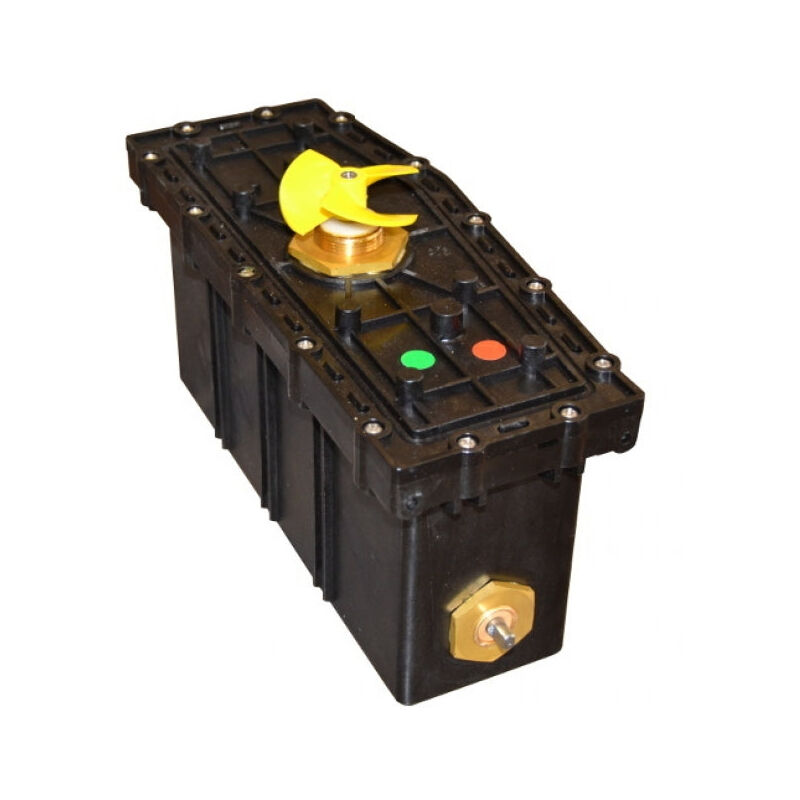 Dolphin Box Motore con Centralina Originale