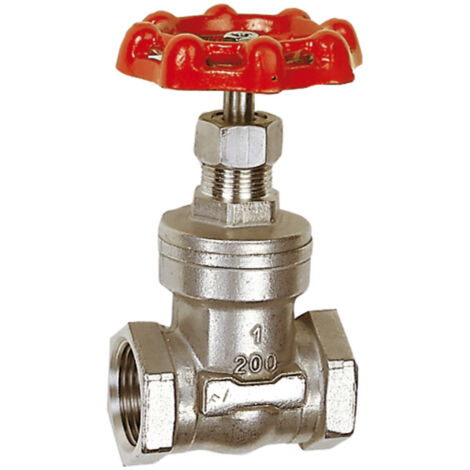 Riegler Muffen-Absperrschieber, Edelstahl 1.4401/1.4408, G 2, DN 50