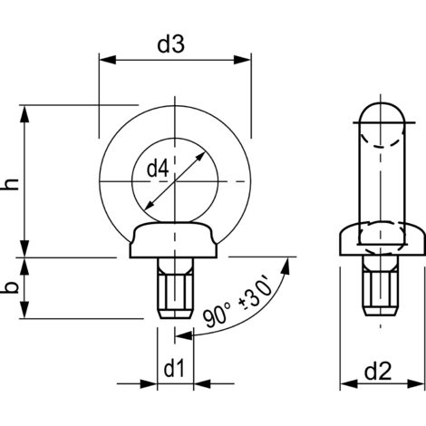 Ringschrauben (Metallschrauben) mit metrischem Gewinde ø M 20 mm A2 ...