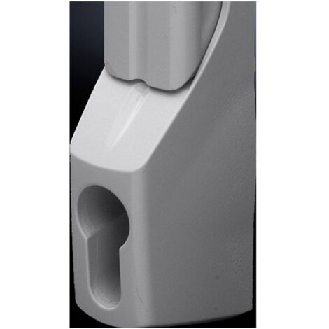 Rittal TS 8611.340 Poignée confort pour serrure demi cylindre nickel ...