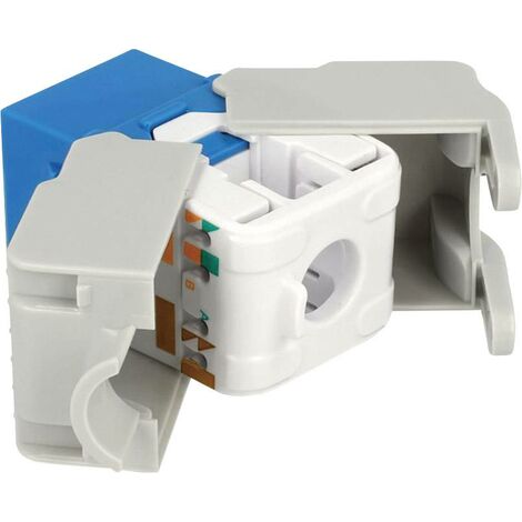 Module RJ45 encastrable Keystone CAT 6 Delock 86343 A069611