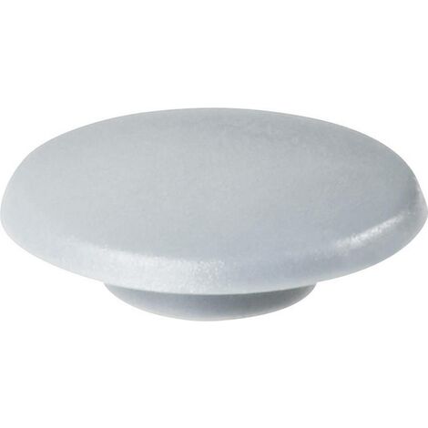 Cache Käpi Ribe pour vis à 6 pans creux TOOLCRAFT 889680 h/tmax/s ...