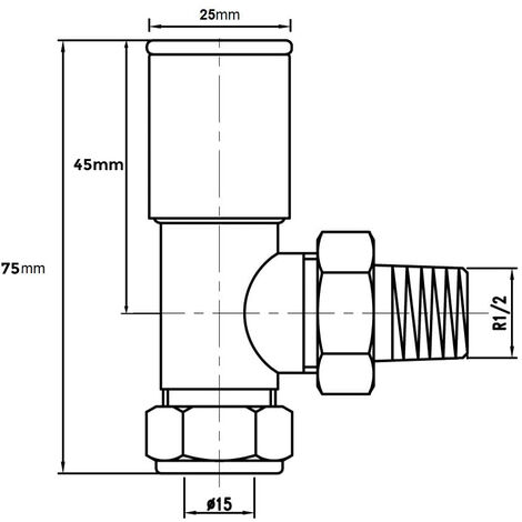 Modern Angled Radiator Valves Chrome