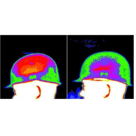 Casco Stihl Function Basic Con Cuffie E Visiera Motosega Decespugliatore