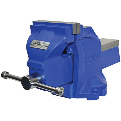 Mechanics Bench Vice With Anvil 100mm (4in)