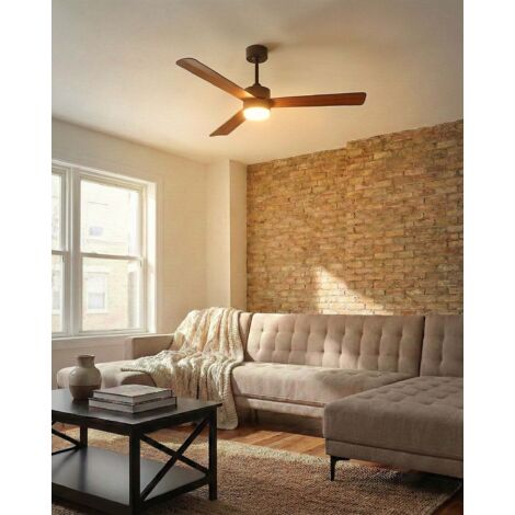 Deckenventilator mit Licht JEREMY Braun