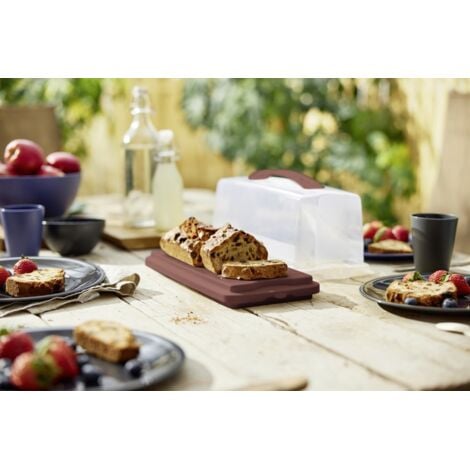 Rotho Kuchenbehälter Fresh iron rot Kuchentransportbox