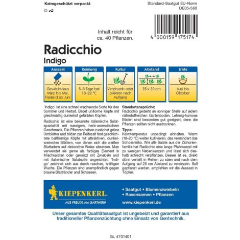 Kiepenkerl Radicchio Indigo F1 Gemüsesamen
