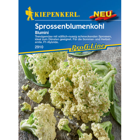 Kiepenkerl Sprossenblumenkohl Blumini, F1 ca. 15 Pflanzen Gemüsesamen