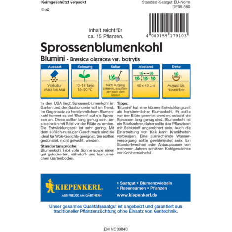Kiepenkerl Sprossenblumenkohl Blumini, F1 ca. 15 Pflanzen Gemüsesamen