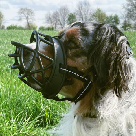 Nobby Maulkorb für Hunde Comfort L Maulkorb