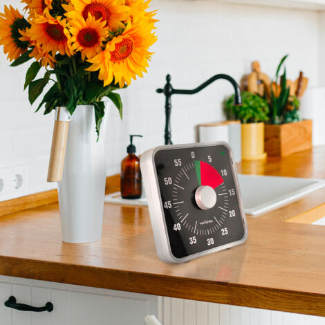 Timer FISHTEC maxi format Silent