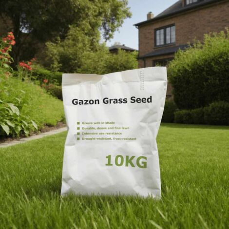 Graine de gazon 10 kg