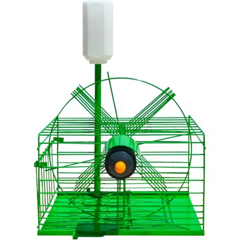 Cage de capture pour pigeons