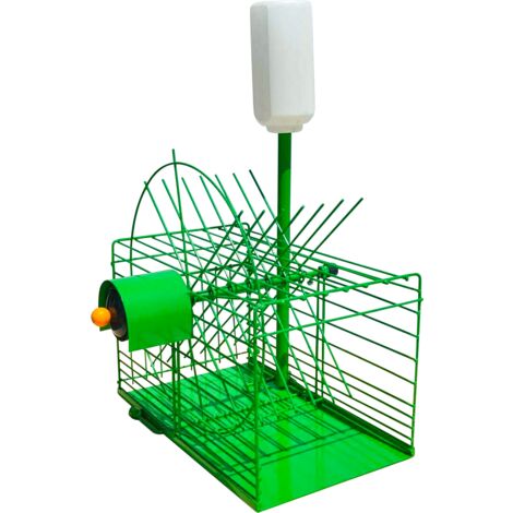 Cage de capture pour pigeons