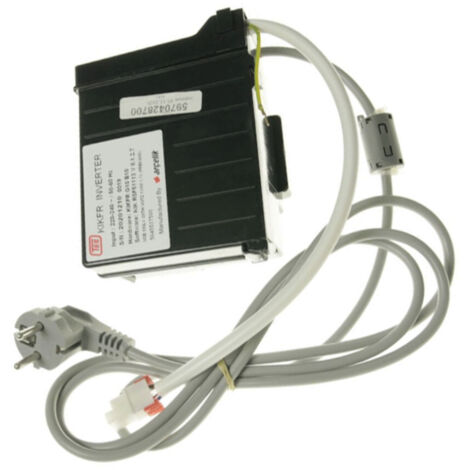 Module Inverter