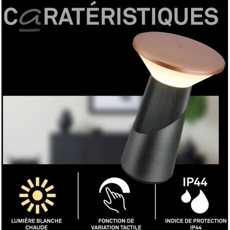 Briloner Lampe de table LED sans fil 15 x 24 cm 2,6 W 200 lm 2700 K ...