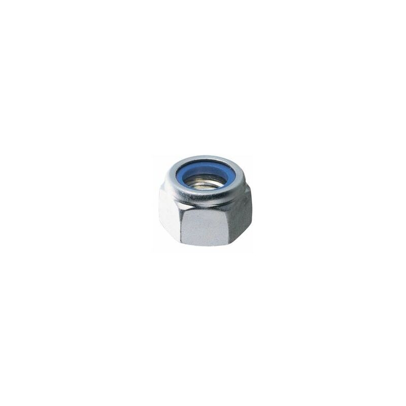 Dado Autobloccante M5 100 Pz 112508/1