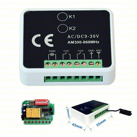 Ricevitore Radio Ricevente 2 Ch Telecomandi Compatibile Con Nice Sommer