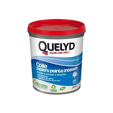 QUELYD Colle Pate papier peint intisse QUELYD, 1 kg