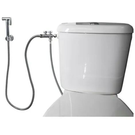 AUTRES Douchette kit hygiène en laiton argent Mâle 15 x 21