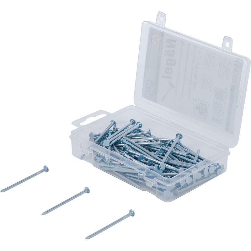 ASSORTIMENT DE CLOUS 200G 2,5 X 50 MM BGS DIY 88116