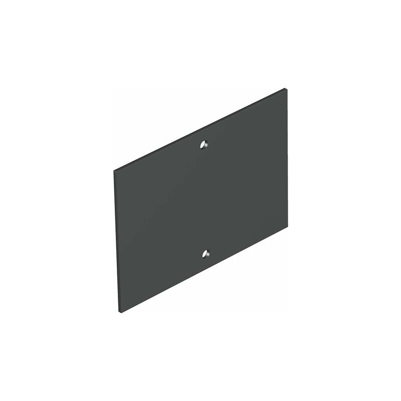 OBO BETTERMANN PLAQUE PVC, SW T4B P0S2 9011 7408228