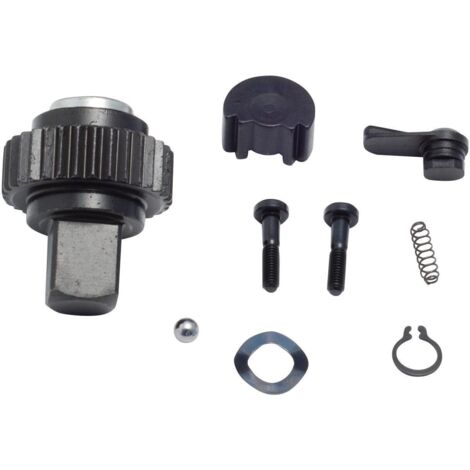 HAZET 6403-1S/9 KIT DE PIÈCES DE RECHANGE POUR ROUE À ROCHET
