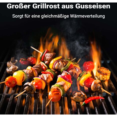 Wiltec Gusseisen Grillrost 26 x 44,5 cm, Grillgitter für Holzkohlegrill & Gasgrill ...