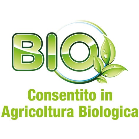 Geomicor Tricoder Solid, (1 kg), inoculo granulare di funghi micorrizici con trichoderma per ...