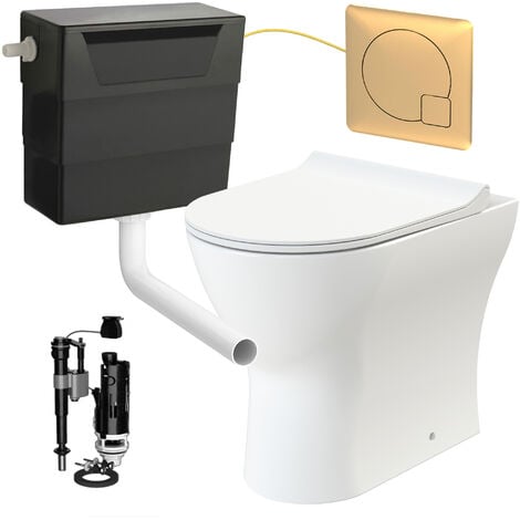 Rimless D Shape Back to Wall Toilet Pan with Soft Close Seat ...