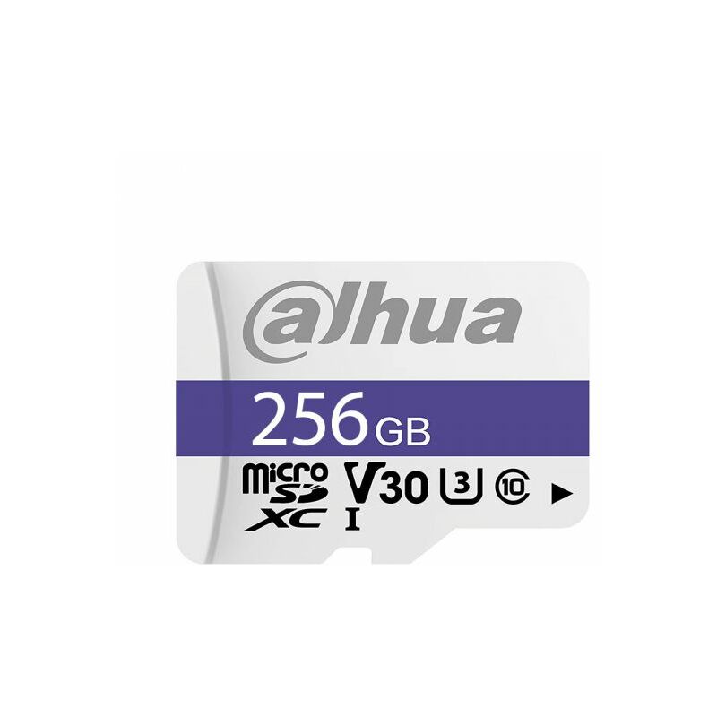Dahua Scheda Micro SD 256 GB Sorveglianza Sicurezza Originale TF-P100/256GB