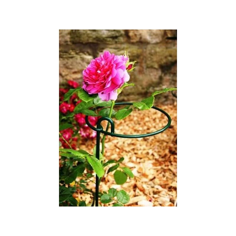 Small Bunch Support Rust (Pack of 4) - Steel - L15 x W15 x H86 cm - Bare Metal/Ready to Rust