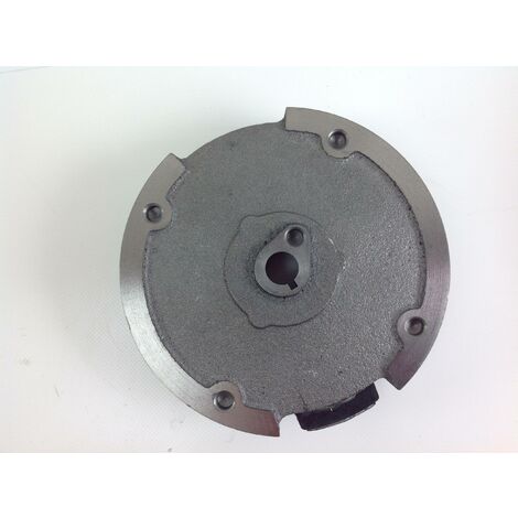 Volano magnetico DUCAR generatore DG3000T TB motopompa DP50 80 DPT 80 ...