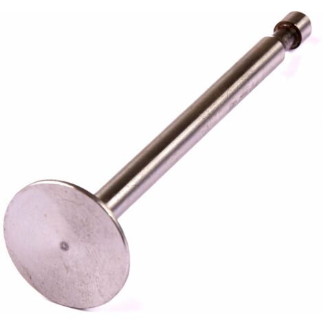 Valvola motore rasaerba tagliaerba originale BRIGGS & STRATTON 261233