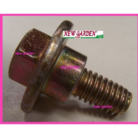 Vite bullone BRIGGS & STRATTON 009X67MA