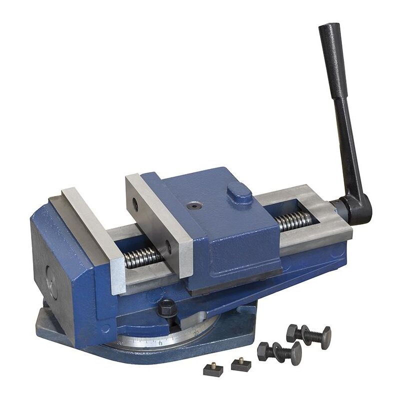 Etau rotatif pour machine-outil de 200 mm